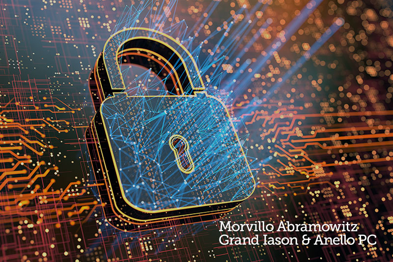 Cybersecurity and Individual Liability: "United States v. Sullivan" and ...